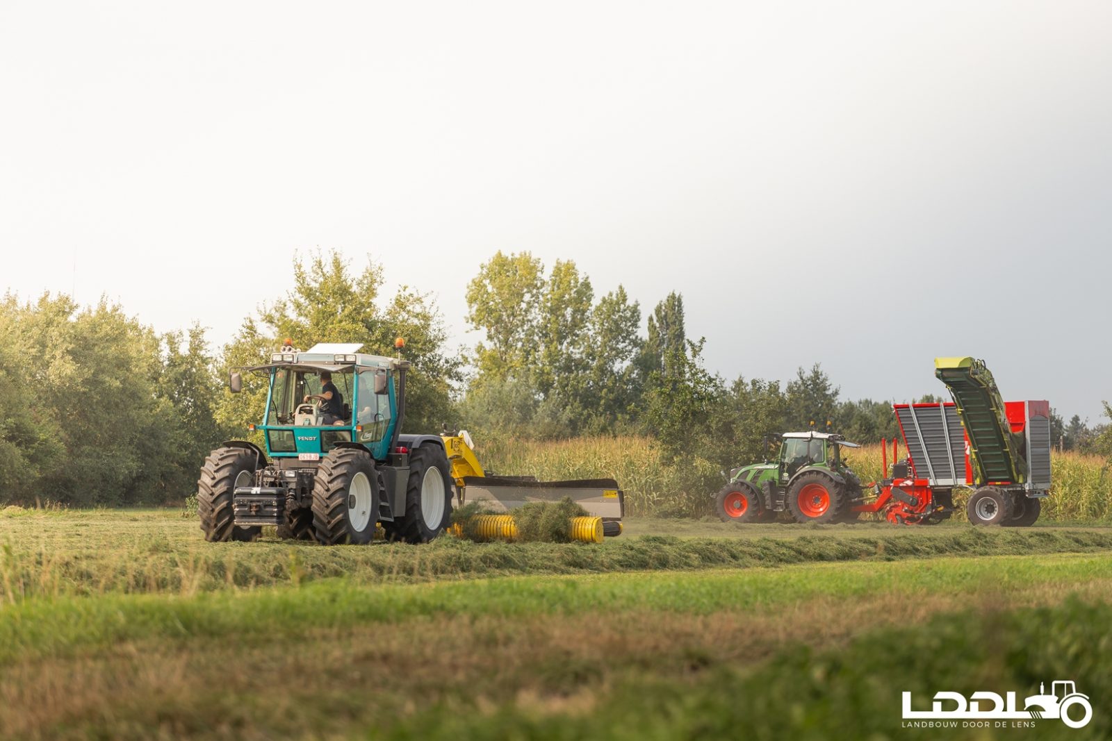 Fliegl Büffel in actie op de Belgische velden - deloonwerker.be