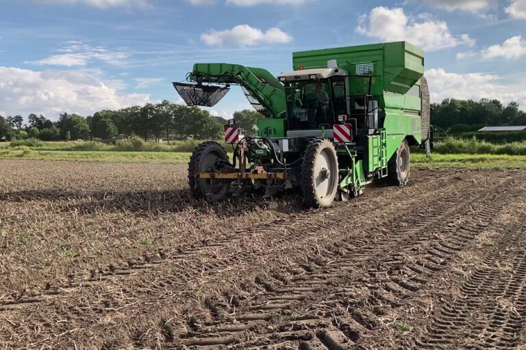 AVR viert 175e verjaardag met limited edition van Puma 4.0 ...